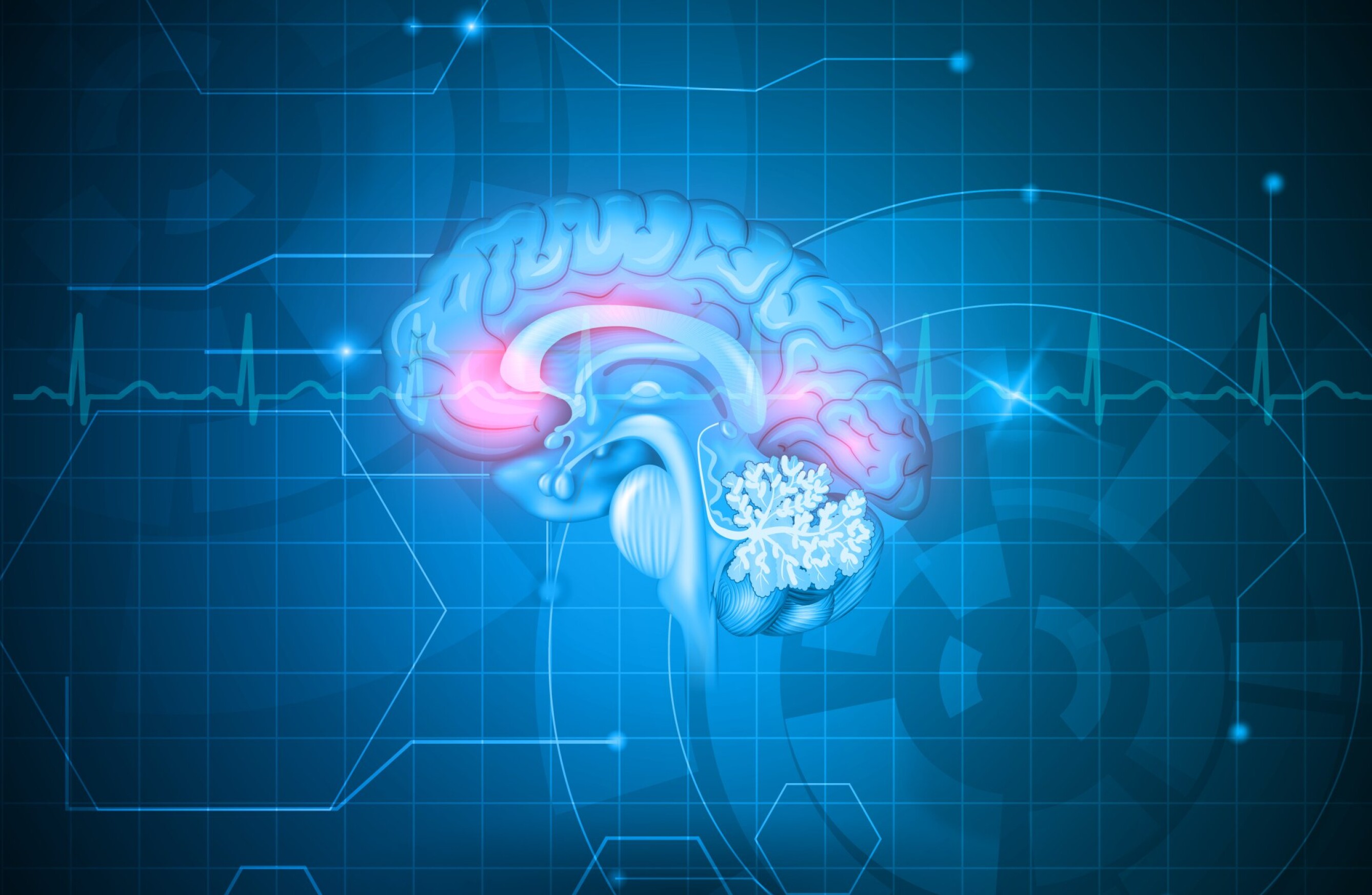 Dansk forskning: Elektrochok danner flere hjerneceller | p1livex | DR