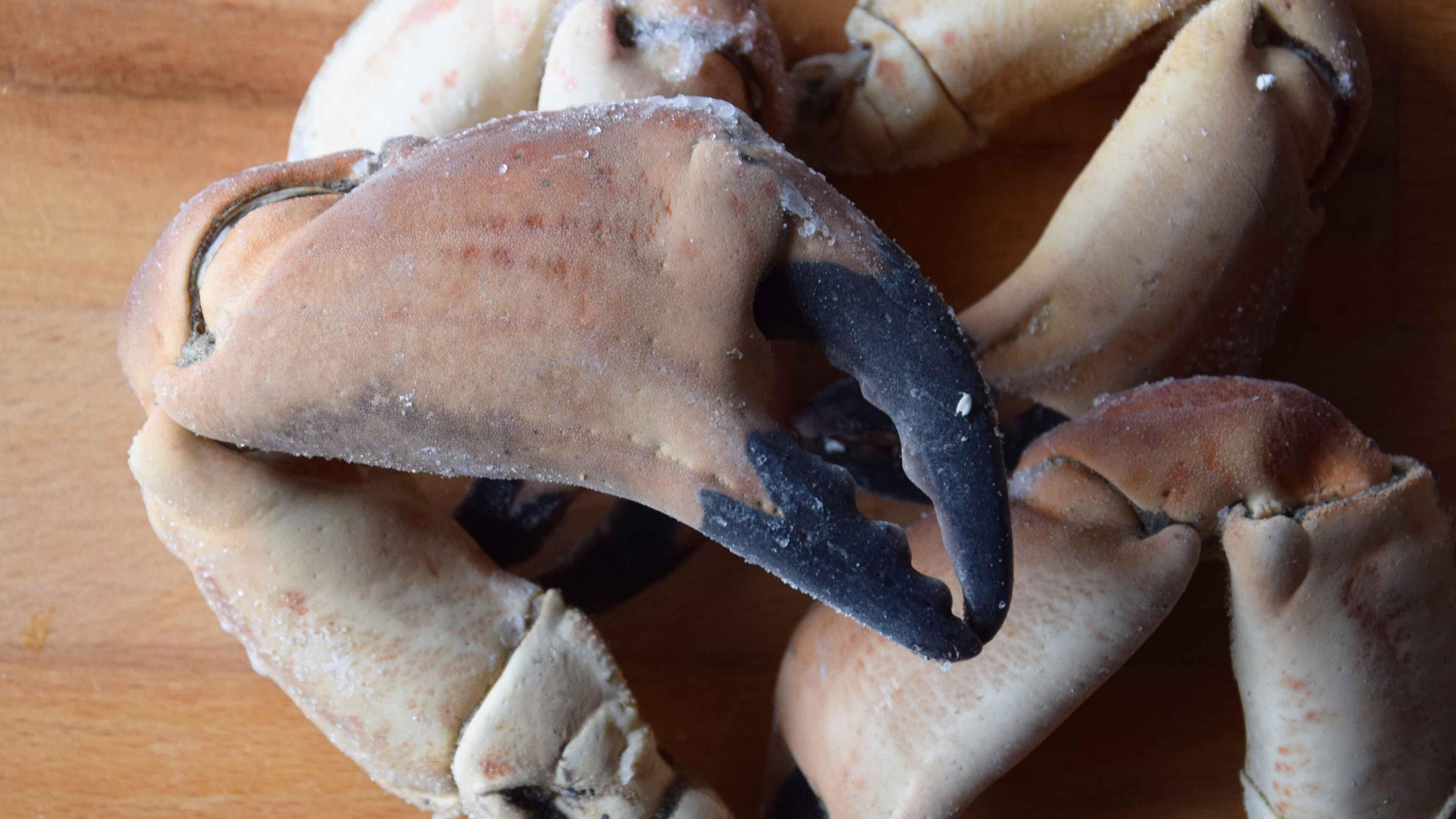 Enorm efterspørgsel på danske krabber: Kineserne er umættelige | Midt ...