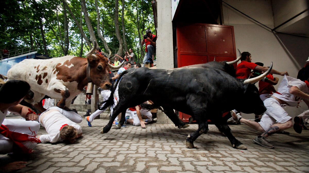 BILLEDER Modige mænd løber fra hidsige tyre i Pamplona | Udland | DR