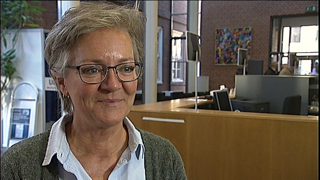 Forbudte EU-pjecer bliver liggende i Aalborg | EU 2015 | DR