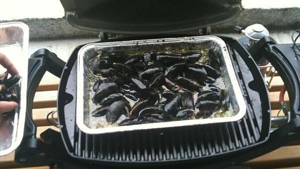 Pas på muslinger og østers fra Limfjorden | Indland | DR