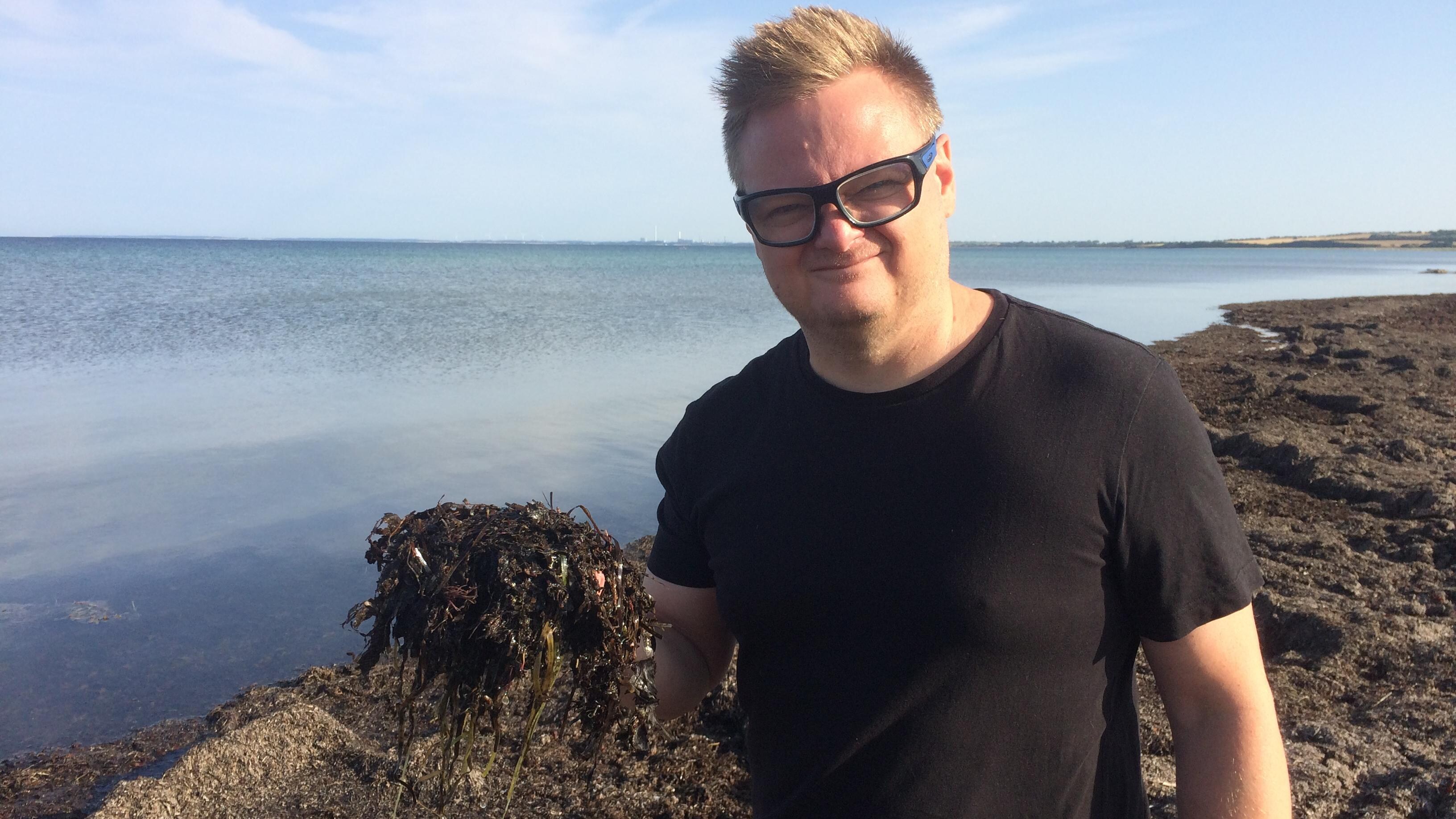 Fy for den lede: Rådden tang skræmmer turisterne væk fra strand ...