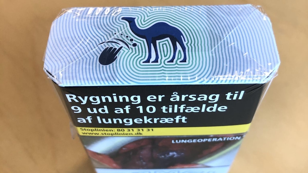 camel menthol activate