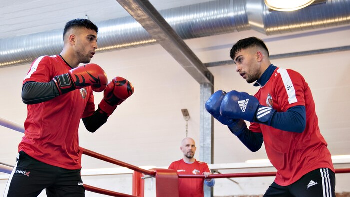Danish Boxing Promotion afviser anklager fra danske boksebrødre | Kort ...