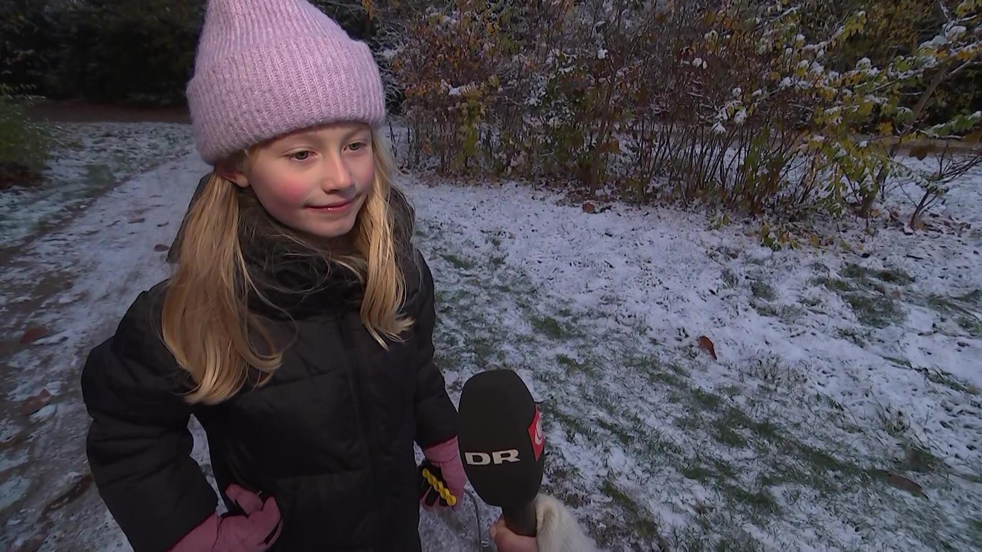 Græsset stikker stadig op gennem sneen, men på Frederiksberg er kælkene ...