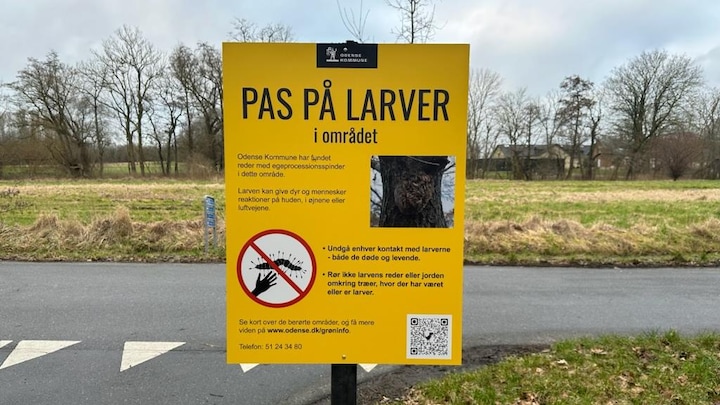 Kommune klar med advarselsskilte og bekæmpelsesplan mod farlig larve ...