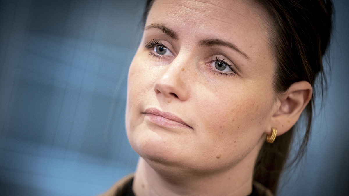 Partier kritiserer reform for at presse de unge og være socialt skæv ...