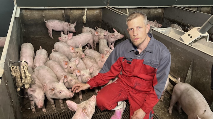 Nye grise-regler får landmænd og dyrevenner til at kritisere ministeren | Indland | DR