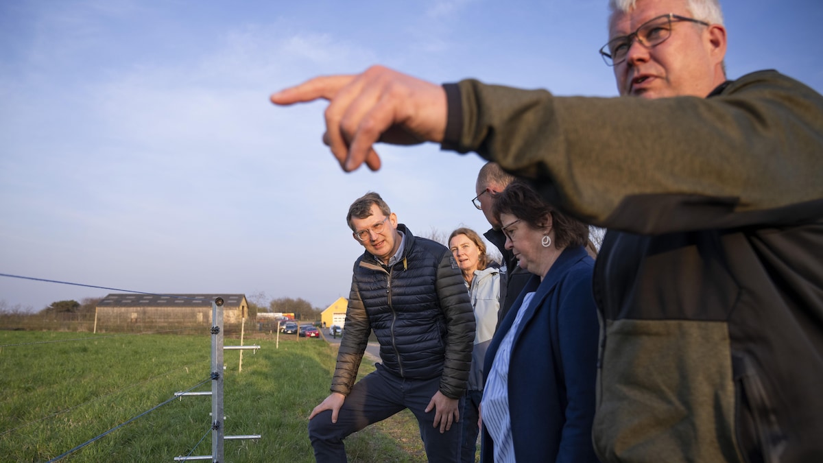 Troels Lund vil have ulvejagt som i Sverige: Fåreavler ser ikke andre ... Troels Lund vil have ulvejagt som i Sverige: Fåreavler ser ikke andre ...