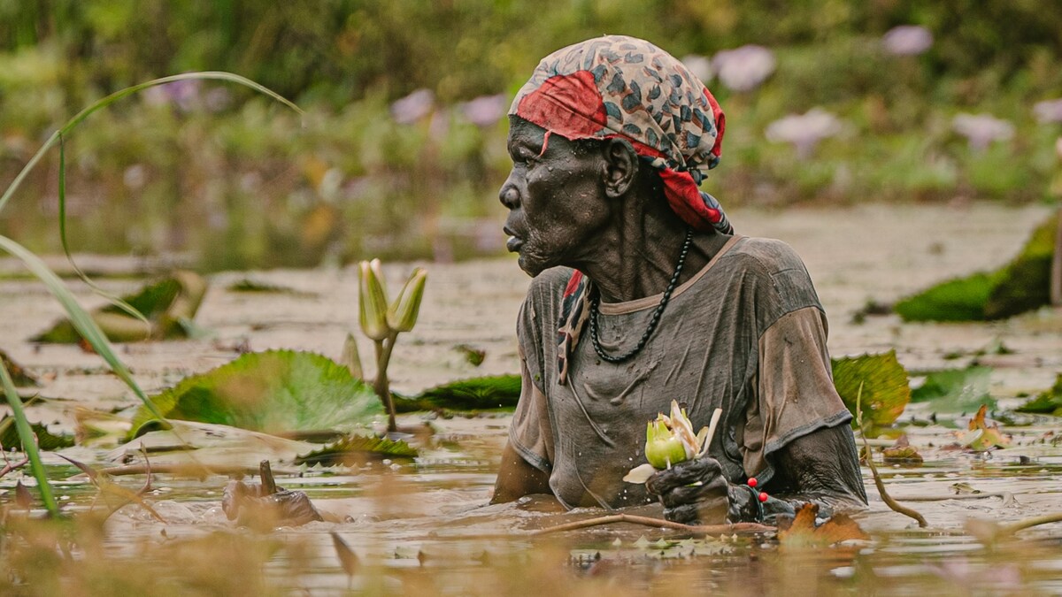 Det er utroligt, hvor mange vejrekstremer mennesker kan overleve | Udland | DR