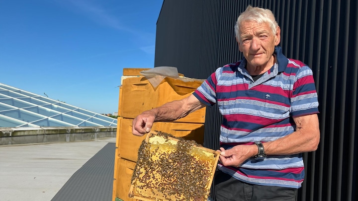 120.000 honningbier på tag skal gavne lokal biodiversitet | Indland | DR