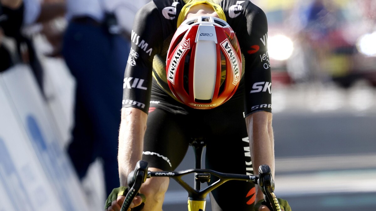 Visma-boss erkender: 'Det bliver meget svært at slå Pogacar' | Tour de France | DR