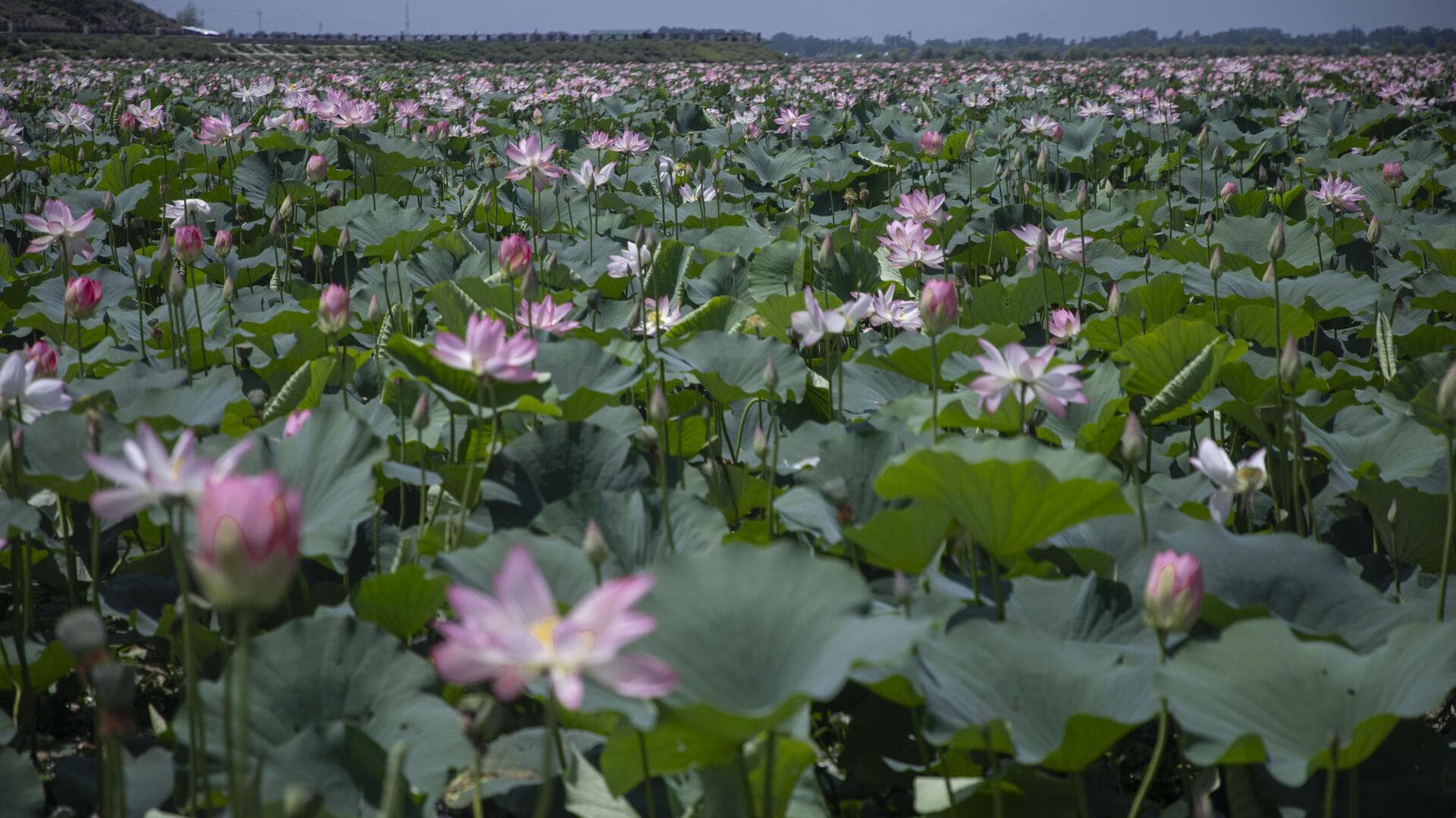 VVS-Eksperten lukker alle butikker i Danmark | Nyheder | DR