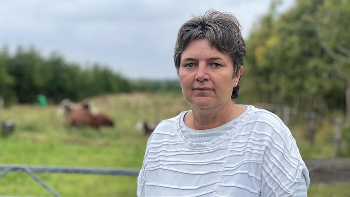 Naboer til solceller vil i byrådene. Helle vil bekæmpe 'jernmarker ...