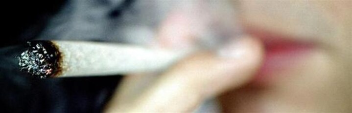 Danskerne er uenige om fri hash | Indland | DR