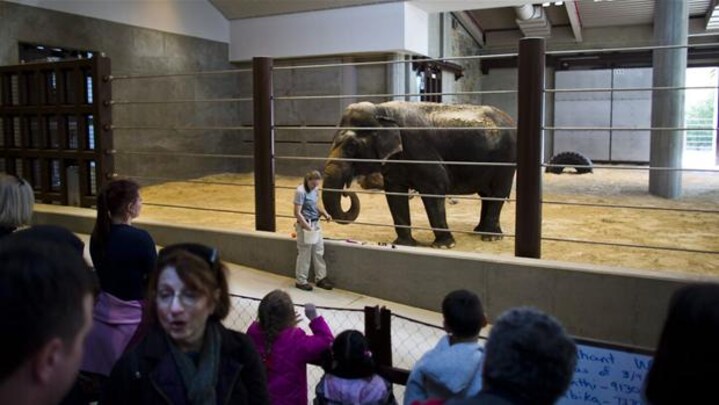 LOCKOUT: Børn og bedsteforældre i zoo | Ultra Nyt | DR