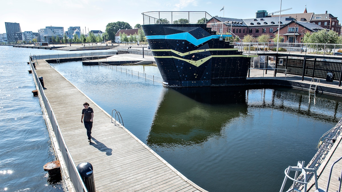 Rotter og bar hud kan være en farlig kombination i havnebade | Ligetil | DR