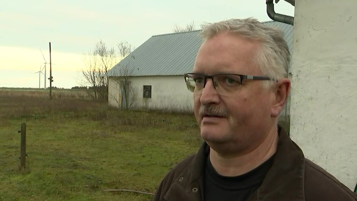 Nabo til 46 vindmøller er stavnsbundet: Politisk vindmølleplaster ...