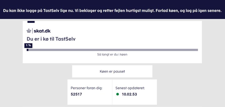 Mere end 50.000 sidder i kø på skat.dk | Nyheder | DR