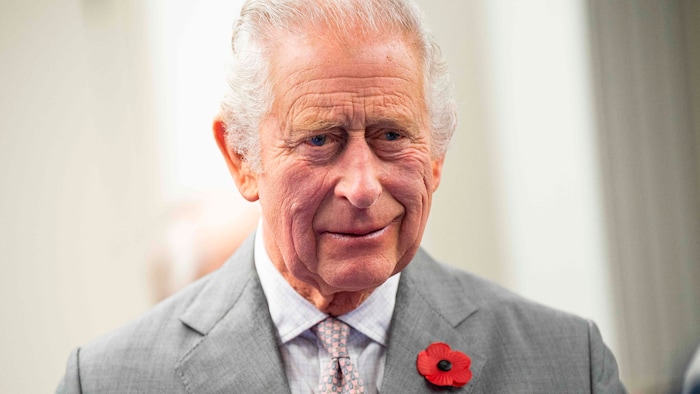 'Den største trøst': Nu kommenterer Kong Charles sin kræftdiagnose ...