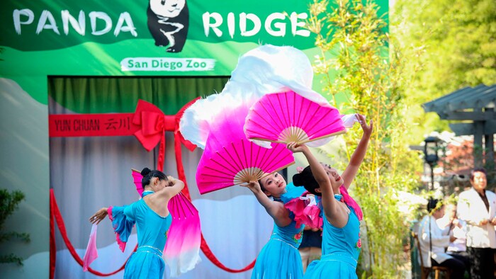 Guvernør efter ny pandaer i USA for første gang i 21 år: I dag er ...