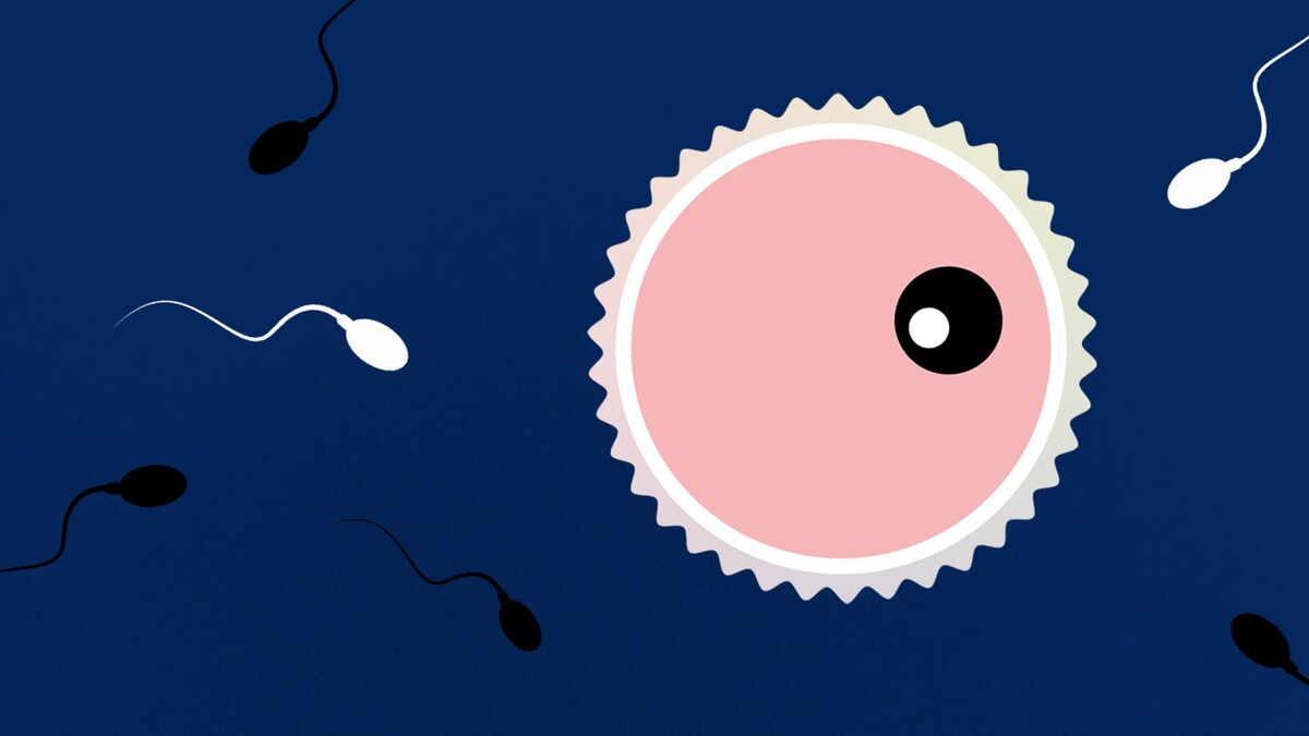 Minister kommer med opsang til regionerne: 'Pengene skal ud og arbejde ...