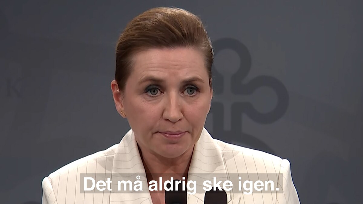 Det glæder danske forsvarsvirksomheder, at milliarderne kommer til at ...