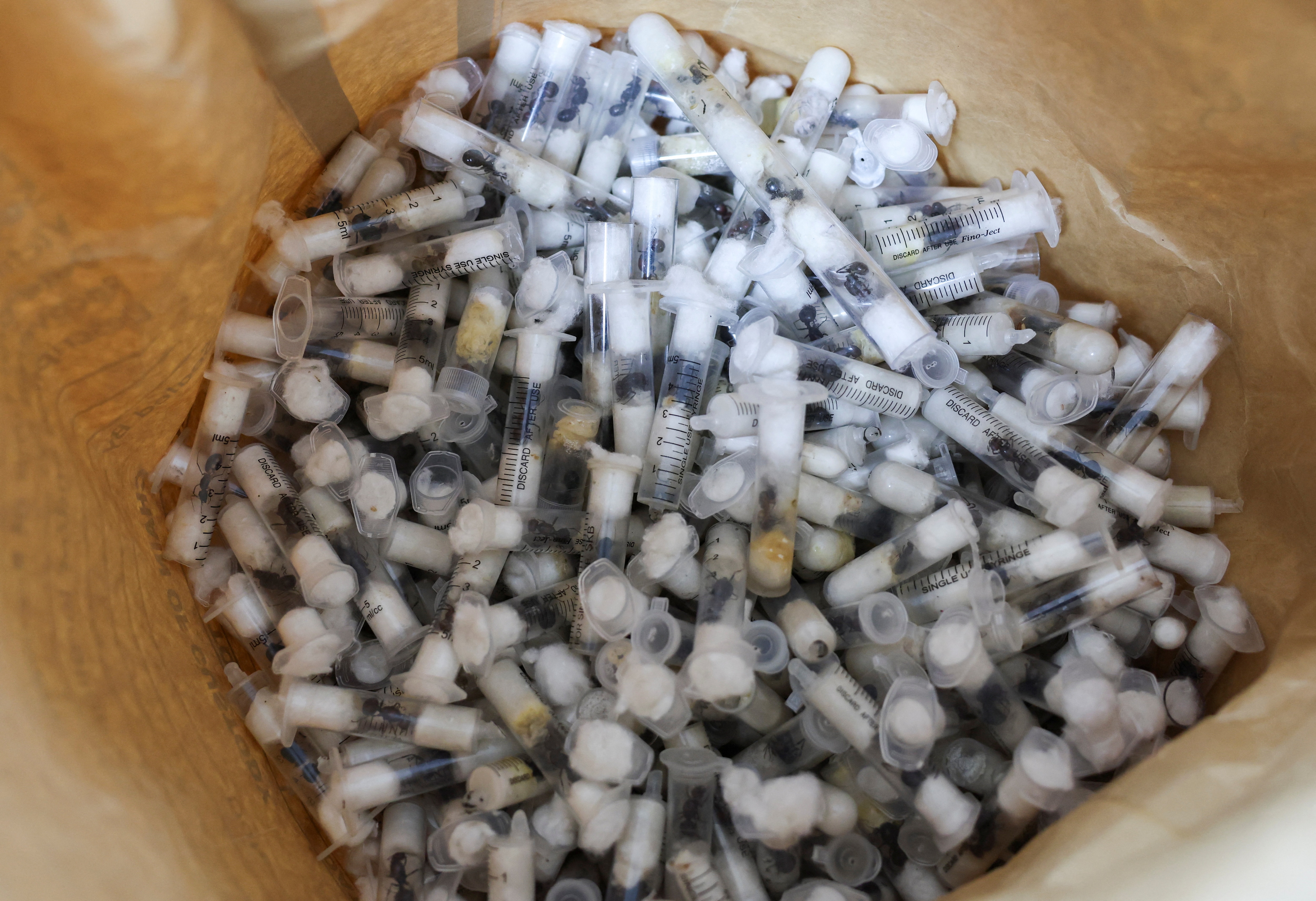 Zelenskyj tror, fredsmødet bliver historisk | Nyheder | DR