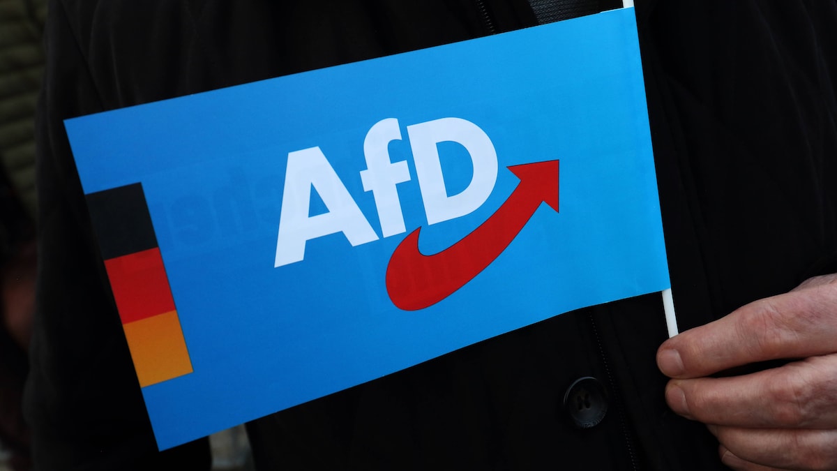 Tysk efterretningstjeneste stempler AfD som en højreekstremistisk ...