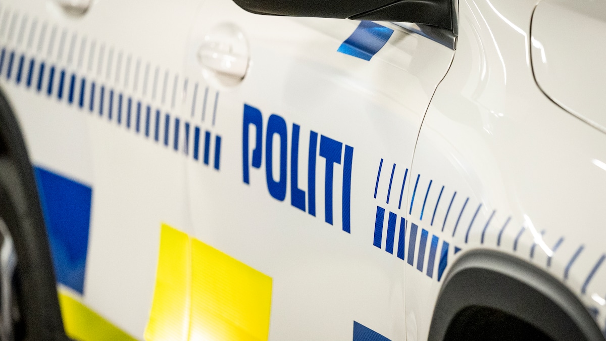 Politi krænkede menneskerettigheder med nøgenvisitation | Indland | DR