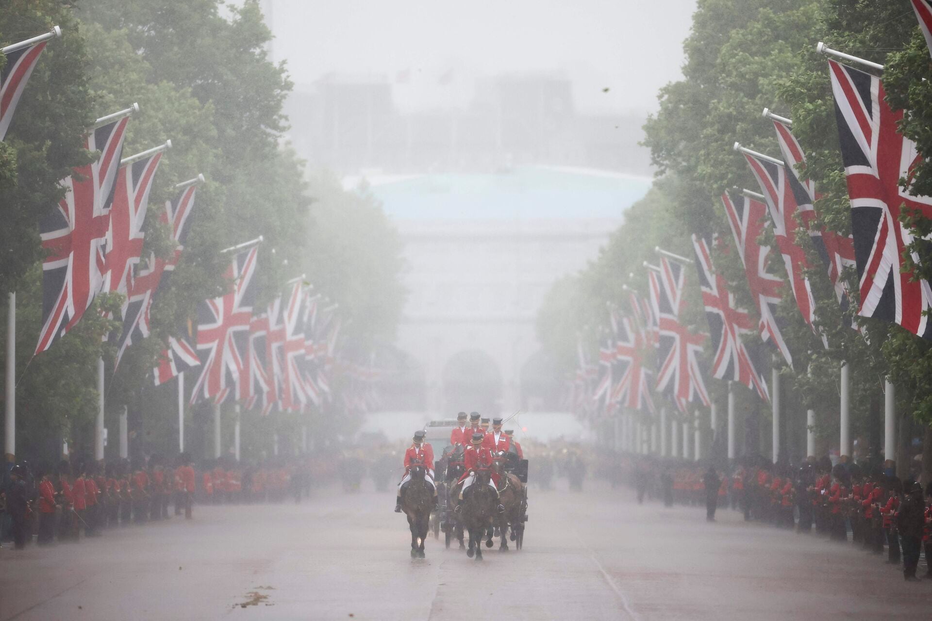 For første gang siden middelalderen er vildkat blevet set i tysk ...