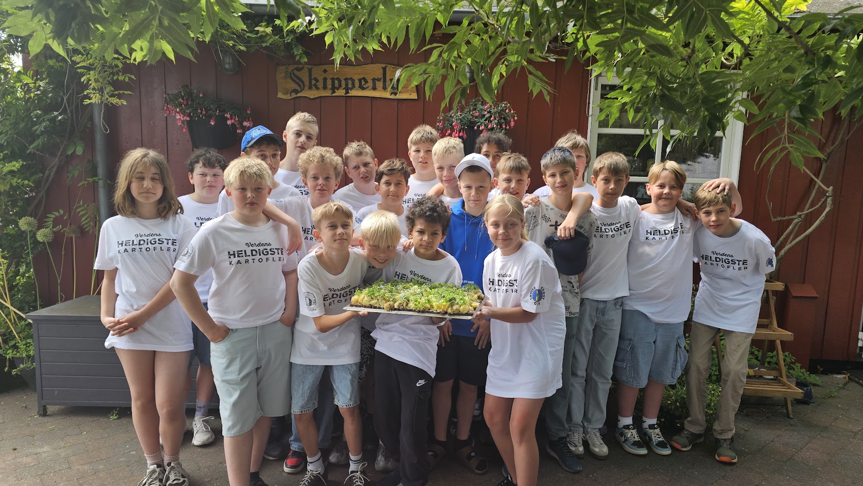 Solsikkefrø tilbagekaldes | Nyheder | DR