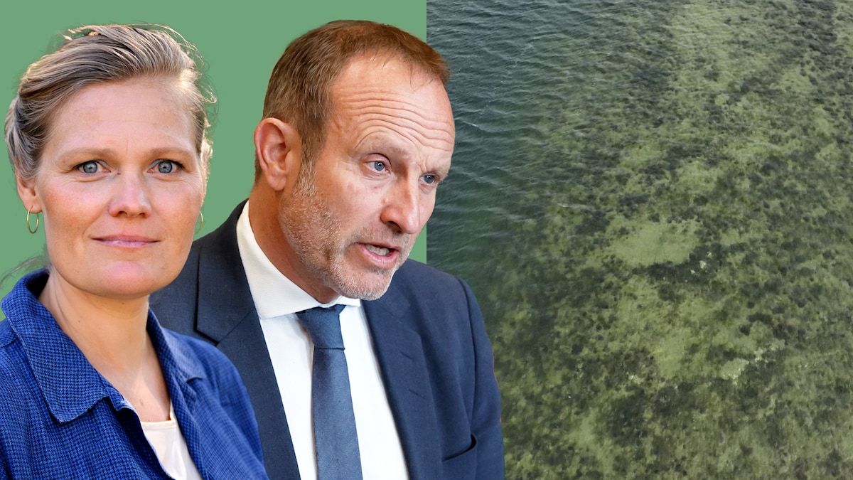 Partier kræver uvildig undersøgelse af det politiske ansvar for ...