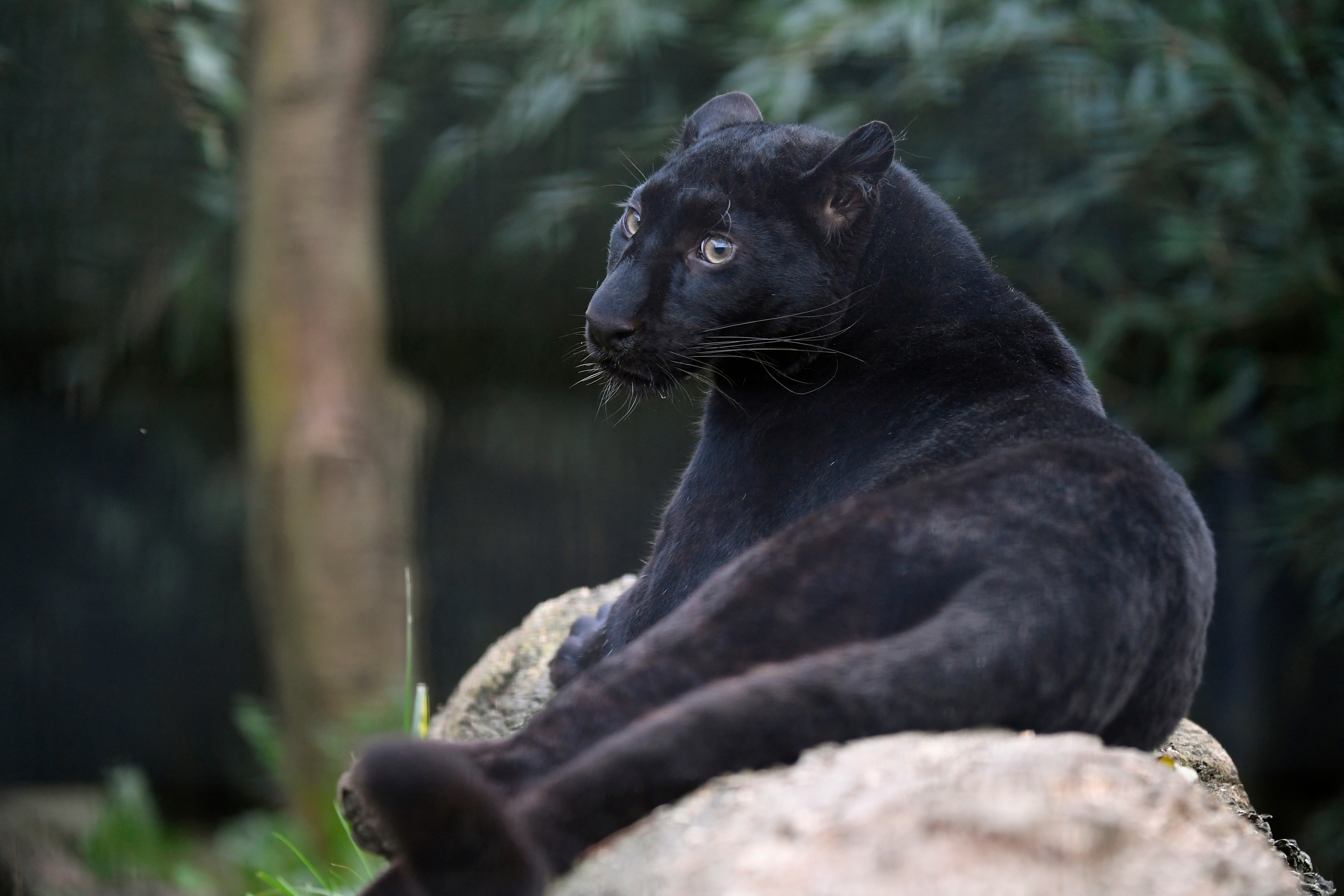 Første patient rykker ind på nyt afsnit i landets mest topsikrede ...
