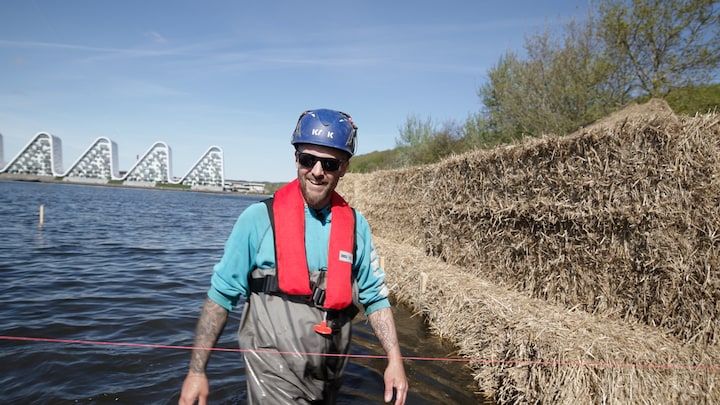 I Vejle beskytter man byen med halm og pæle | Nyheder | DR