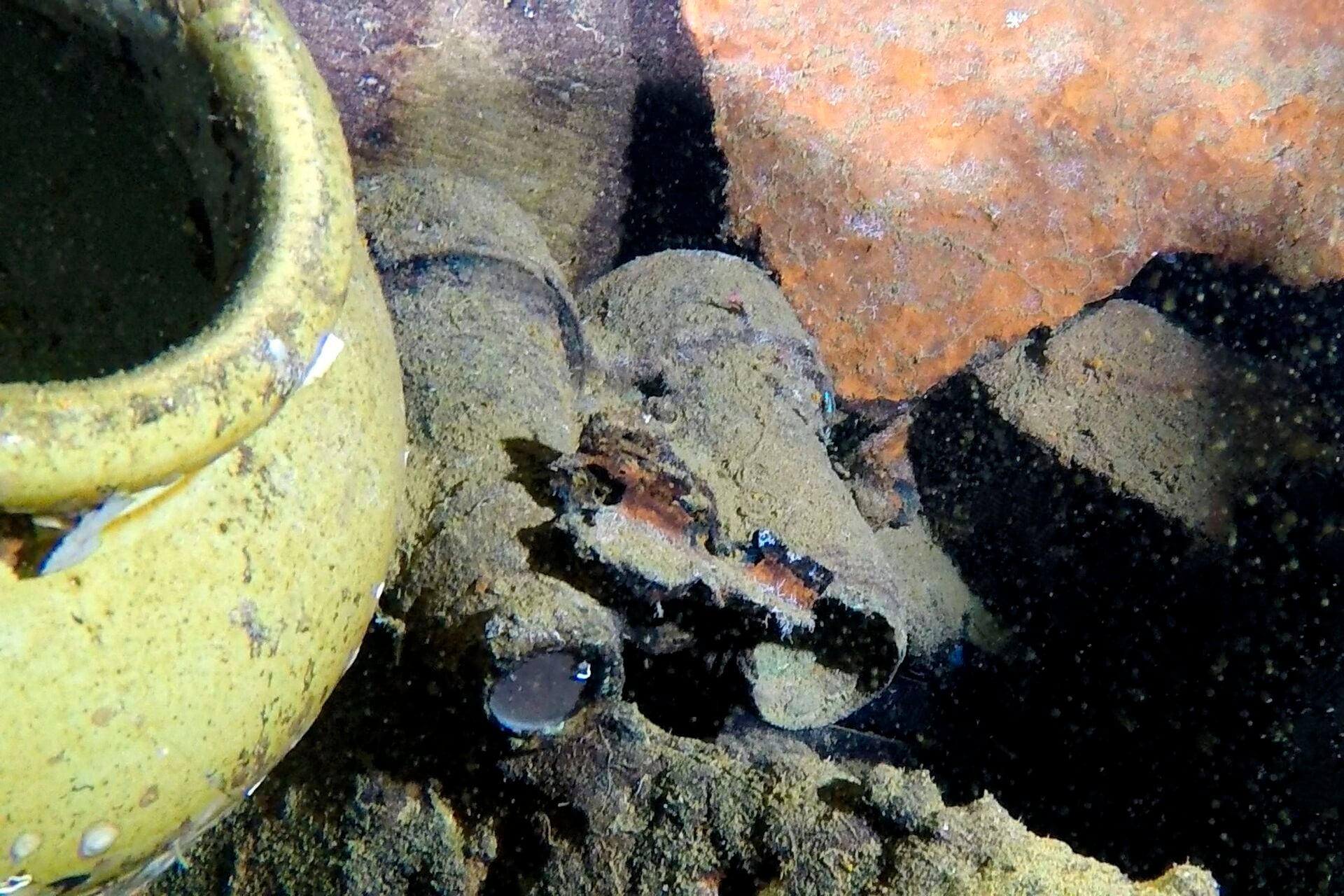 Prins William og Kate flytter: Vil starte på en frisk | Nyheder | DR