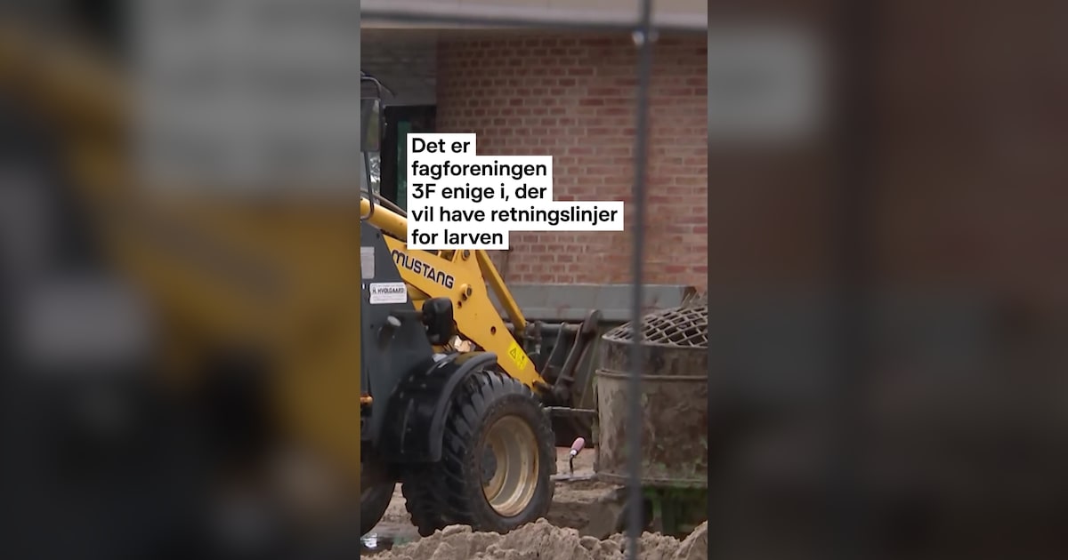 På arbejdet fik Danny og hans kolleger udslæt af 'larven fra helvede ...