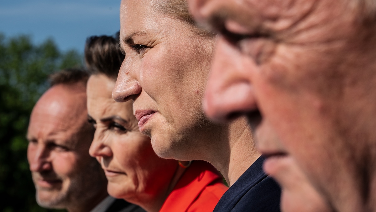 'Det ser meget dyrt ud', siger økonomiprofessor om den nye regerings ...