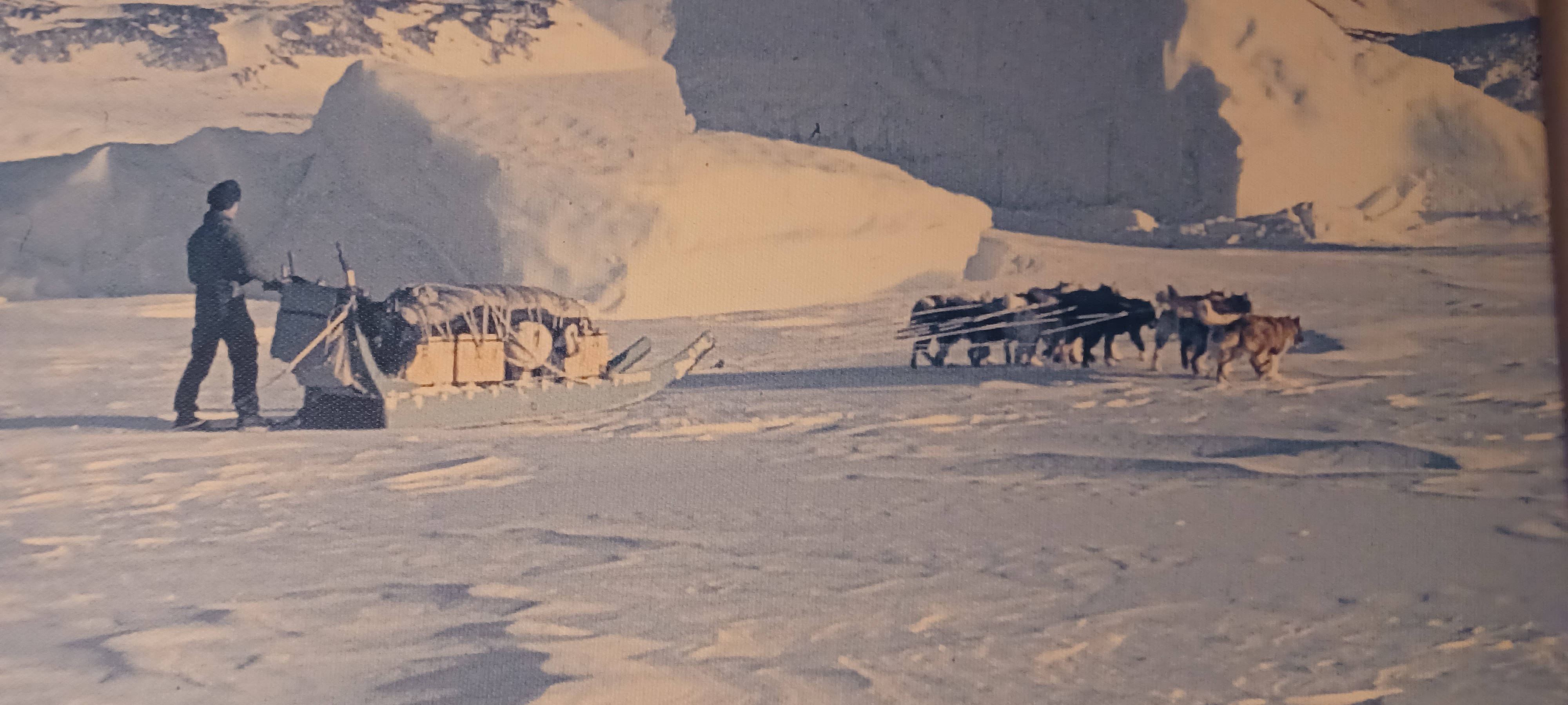 Grønlands første Sirius-mand: Hvis Trump besøger slædepatruljen ...