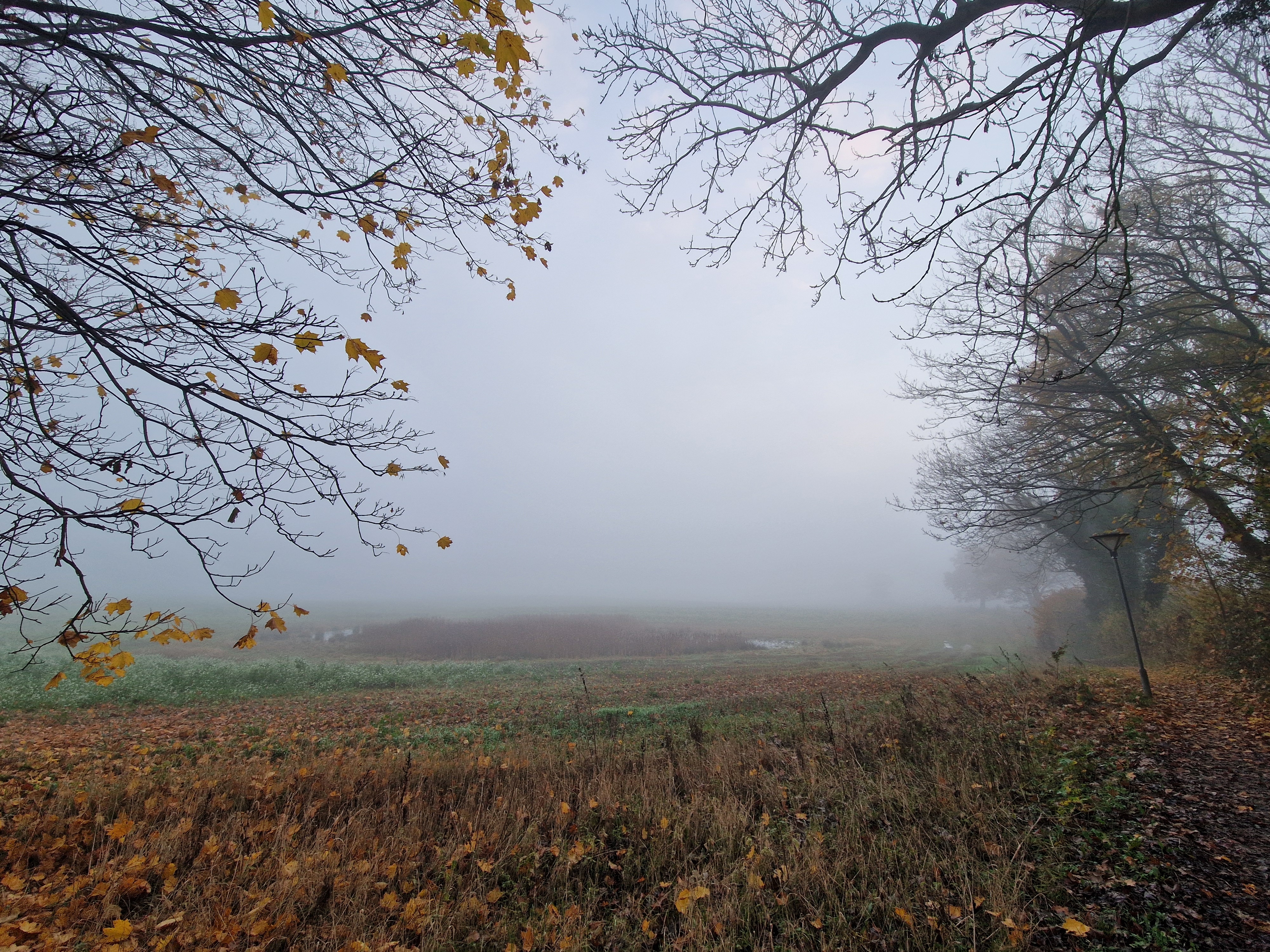 Flotte seerbilleder fangede morgentågen flere steder i Danmark | Vejret ...