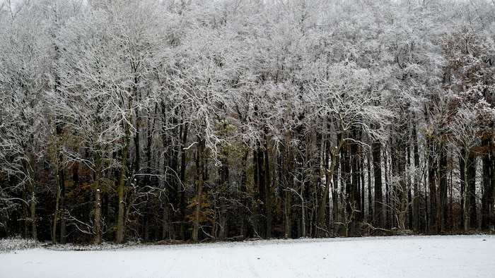 Vintervejr med sne og frost på vej | Nyheder | DR