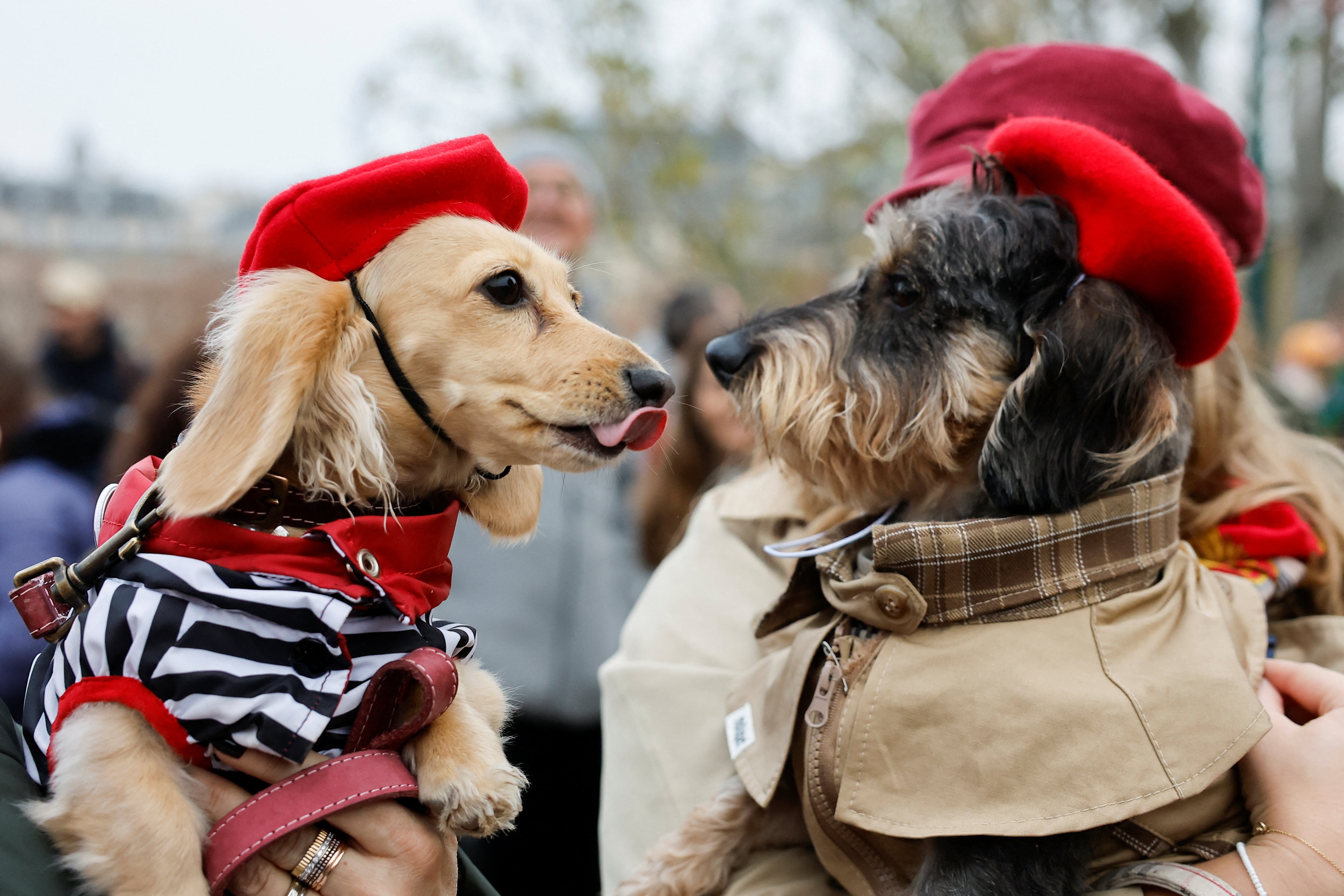 Dansk golfspiller har kurs mod nyt PGA Tour-kort | Nyheder | DR