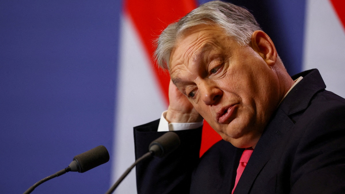 Vakler tronen under Orbán? 'Han er langt mere presset og villig til at ...