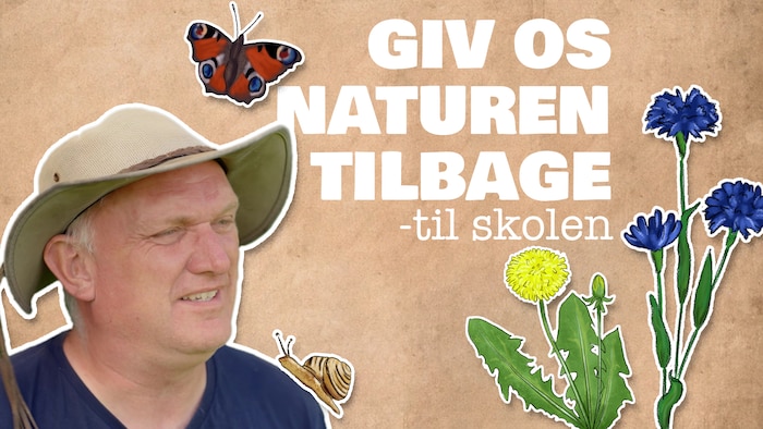 Undervisningsforløb om levesteder og biodiversitet til natur/teknologi | DR
