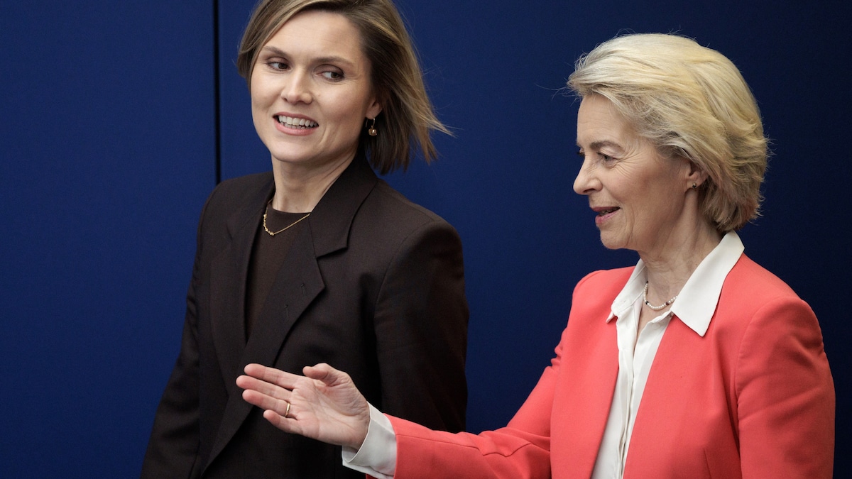 Islændingene har altid haft det svært med EU. Men Trump har fået dem på ...