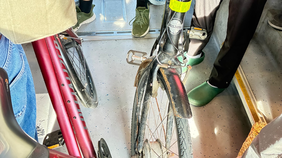 Passager raser over overfyldte tog efter ulykke: 'Vi bliver behandlet ...