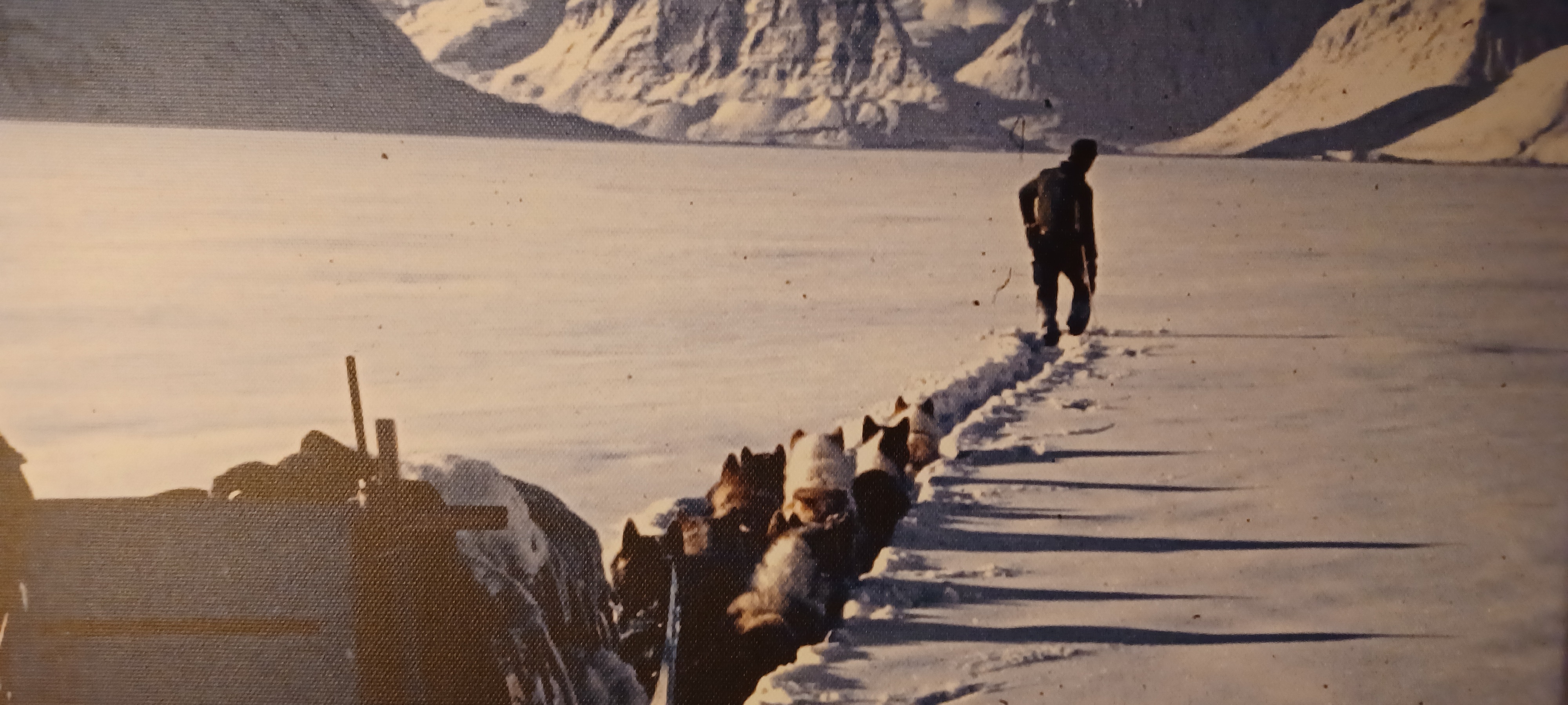 Grønlands første Sirius-mand: Hvis Trump besøger slædepatruljen ...