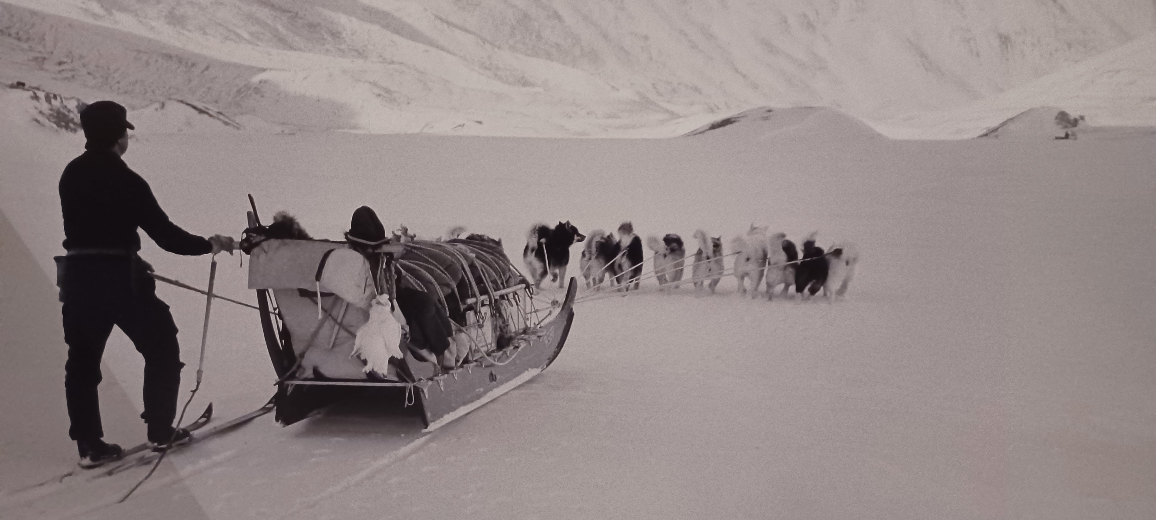 Grønlands første Sirius-mand: Hvis Trump besøger slædepatruljen ...