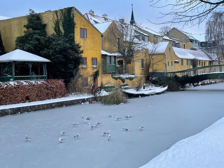 Se billederne af de vilde mængder sne | Vejret | DR