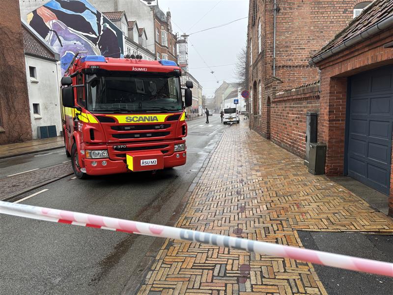 Ulve nær Oksbøl må nu skydes, hvis de kommer tæt på mennesker | Nyheder ...